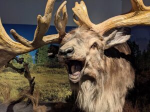 11 unique things to do in Belfast with teenagers - Holidays from Hels